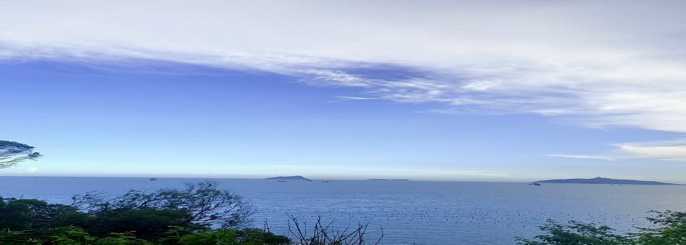 Zhenya Diao - Personal Profile